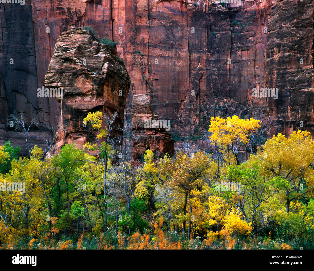 The Pulpit in The Temple of Sinawava in autumn Zion Canyon National ...