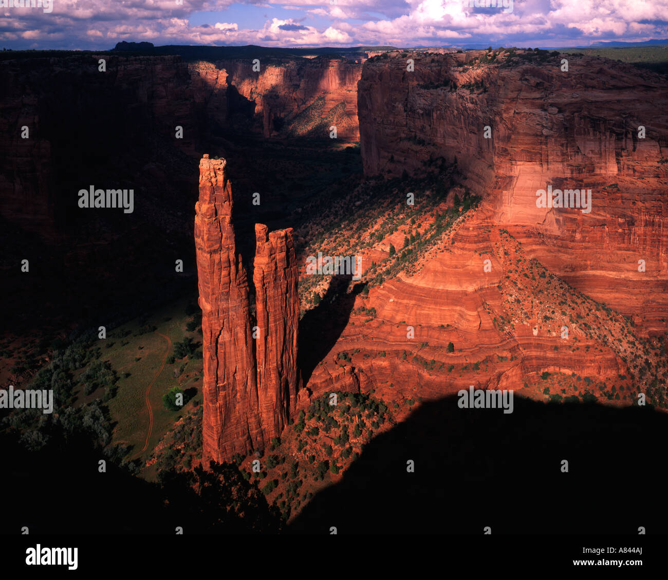 Sunlight through summer storm clouds catches Spider Rock a 229m ...