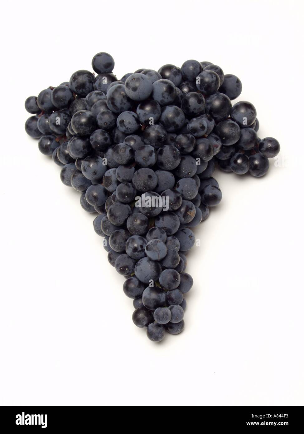 Concord grapes Cut Out Stock Images & Pictures - Alamy