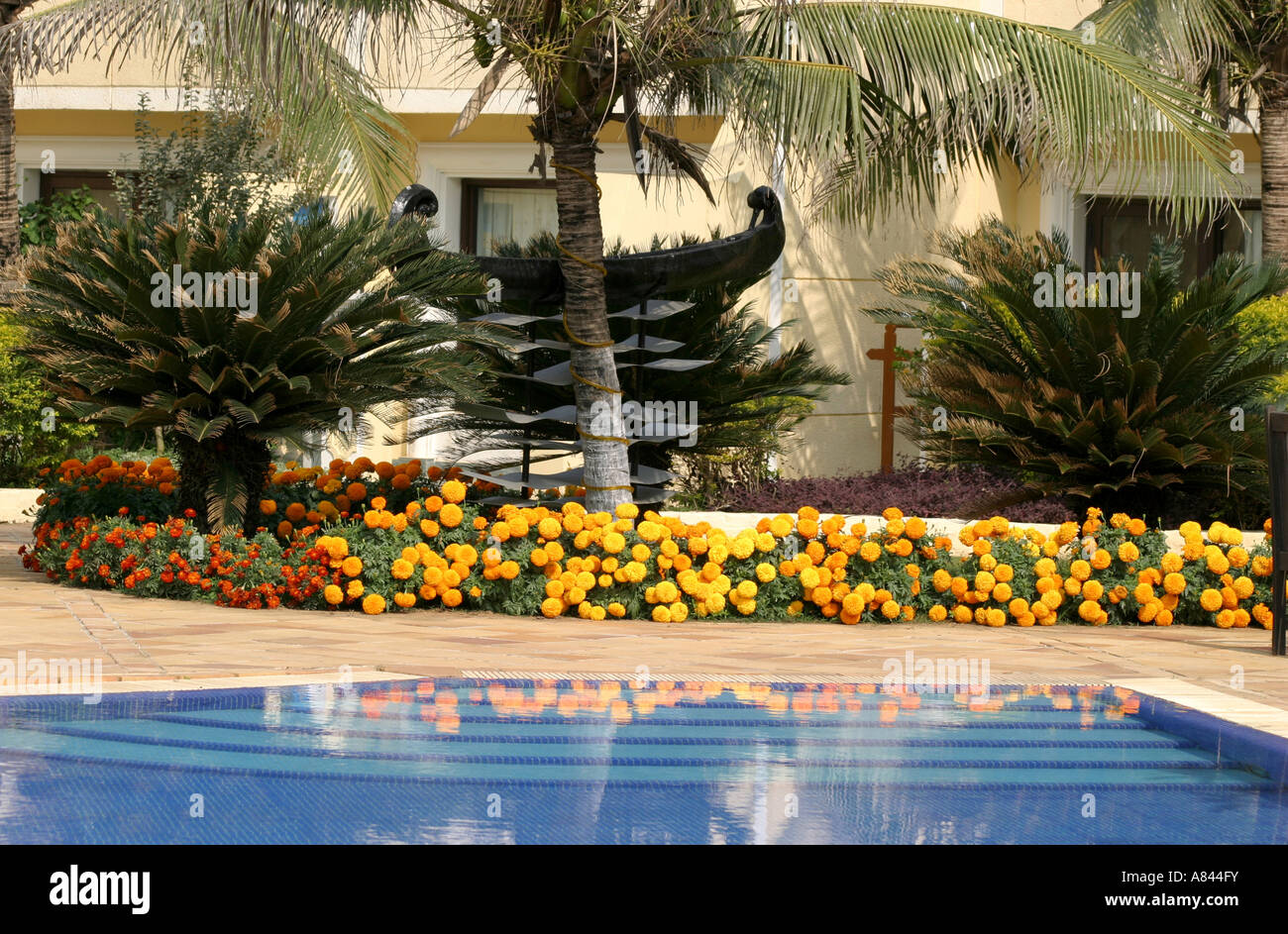 beautiful Swimming pool in the gardens of the luxury Coco Palms resort ...
