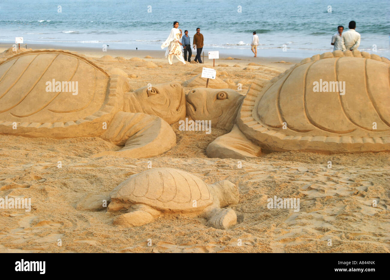Giant Sand sculptures highlight the Save the Turtles campaign on Puri ...