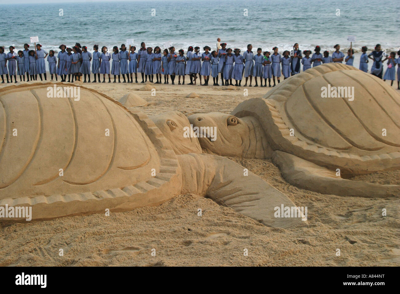 Save turtles hi-res stock photography and images - Alamy