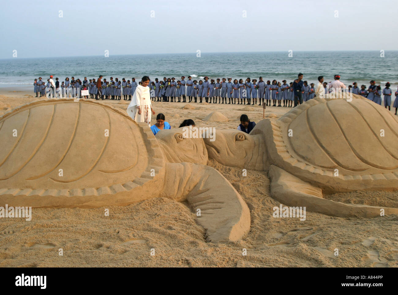 Giant Sand sculptures highlight the Save the Olive Ridley Turtles ...