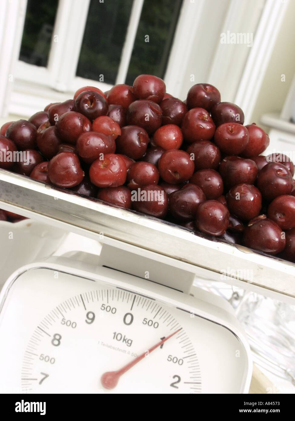 Scale on stone hi-res stock photography and images - Alamy