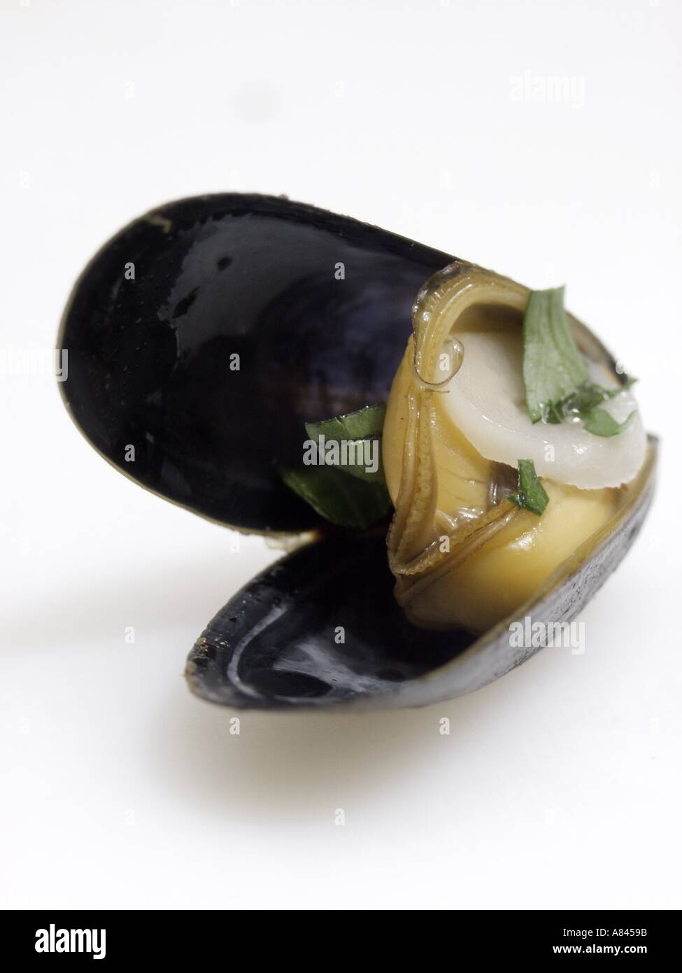 One Cooked Mussel Stock Photo - Alamy