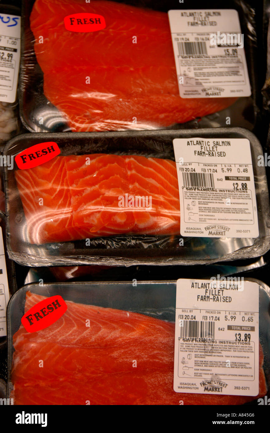 Farm raised Salmon, Butchers counter Stock Photo - Alamy