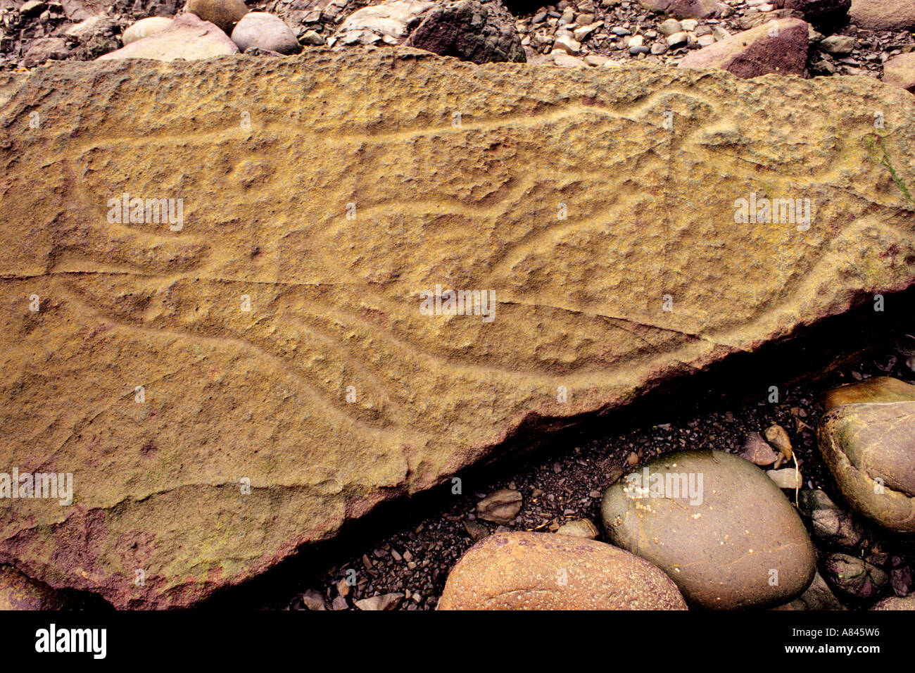 Makah hi-res stock photography and images - Alamy