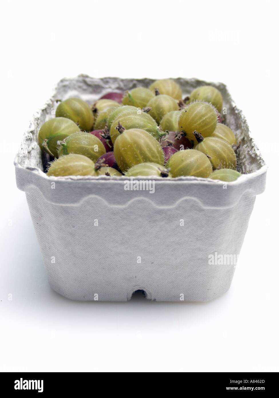 Gooseberries in a Container Stock Photo - Alamy