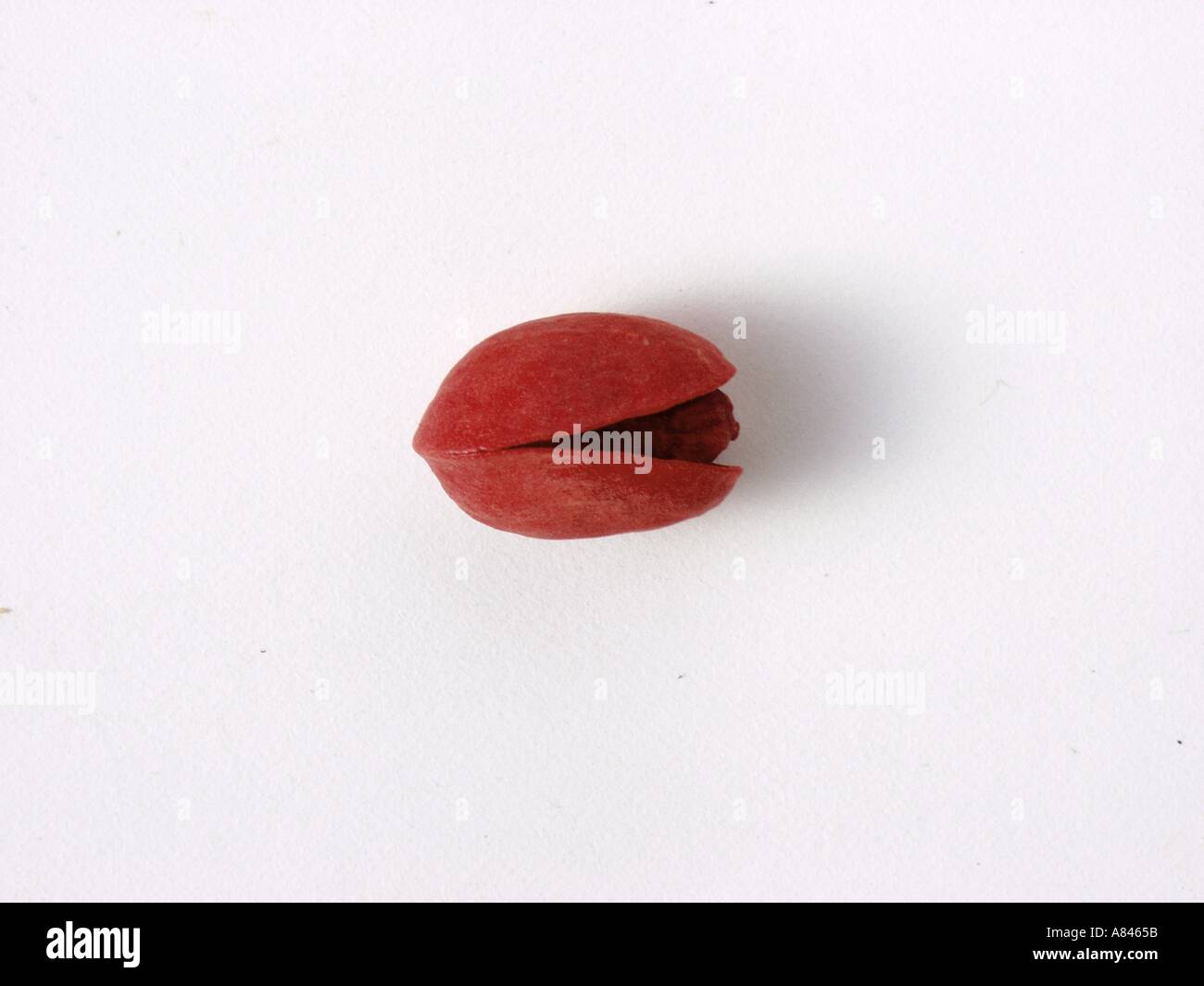 One Pistachio Nut Stock Photo - Alamy