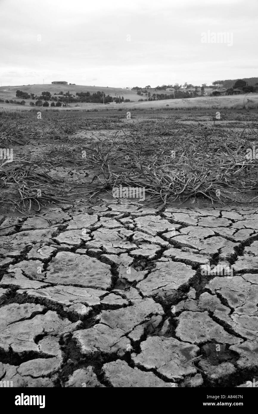 Drought Black and White Stock Photos & Images - Alamy