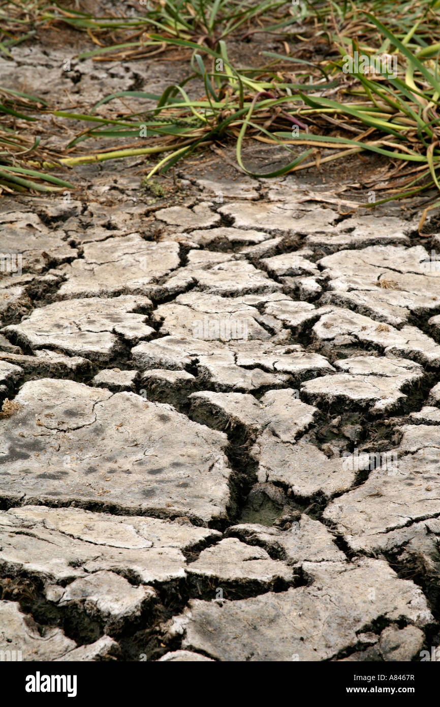 Dried lake during a drought near Dodges Ferry, Tasmania, Australia ...