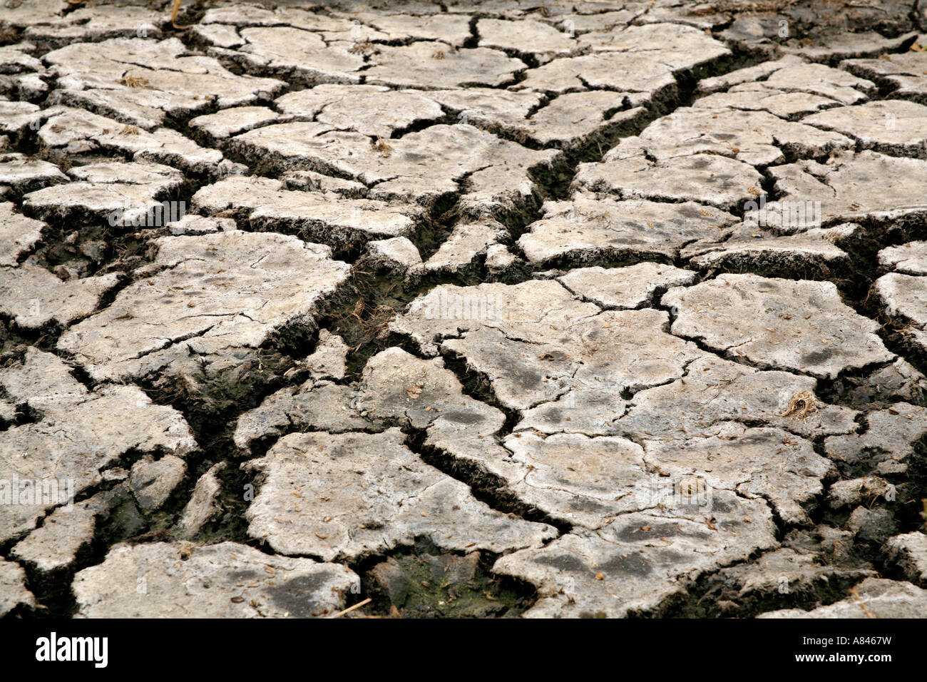 Dried lake during a drought near Dodges Ferry, Tasmania, Australia ...