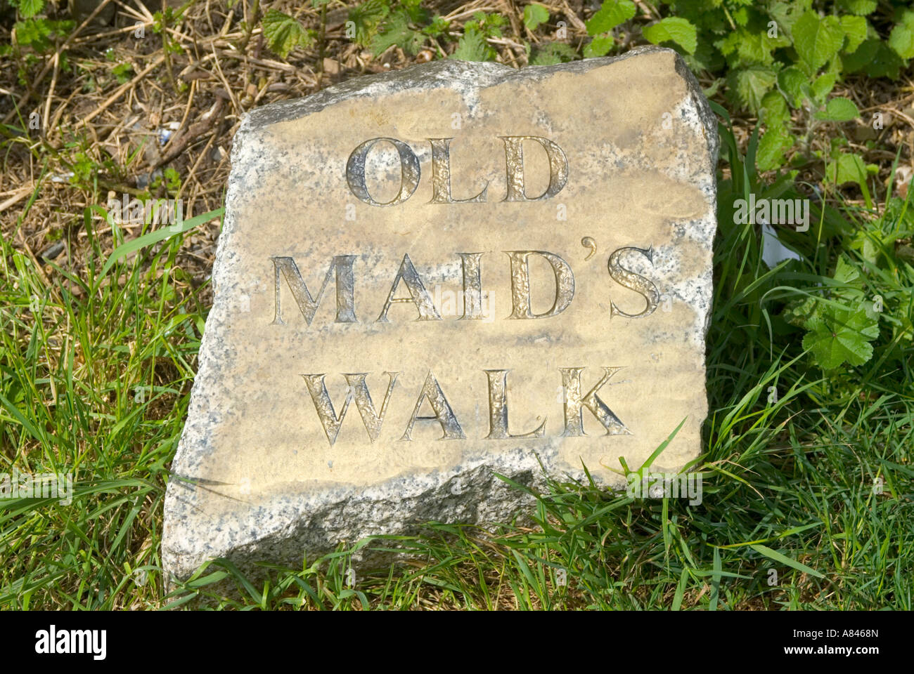 Old Maid's Walk. A favourite path across the Torrington Commons at ...