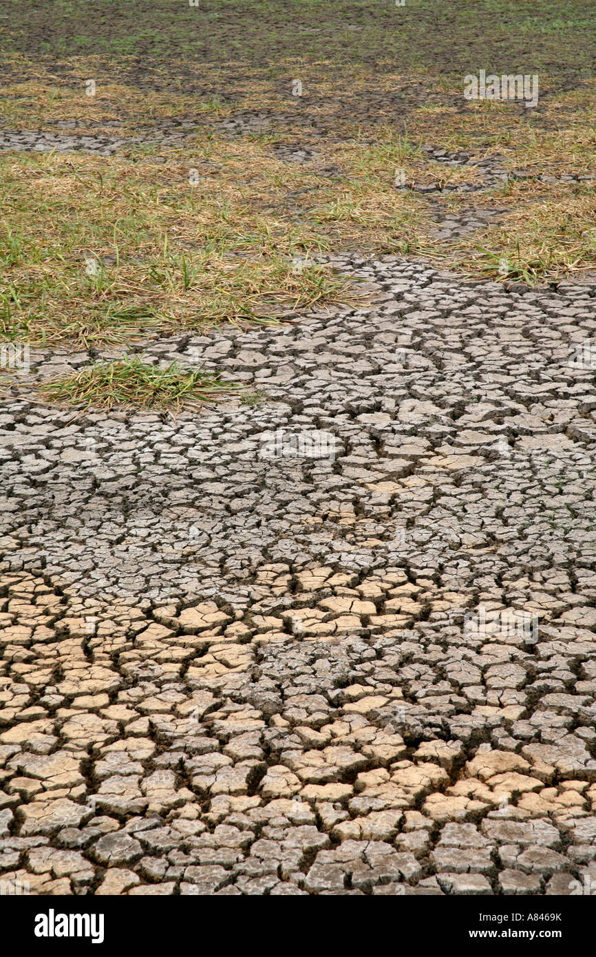 Dried lake during a drought near Dodges Ferry, Tasmania, Australia ...