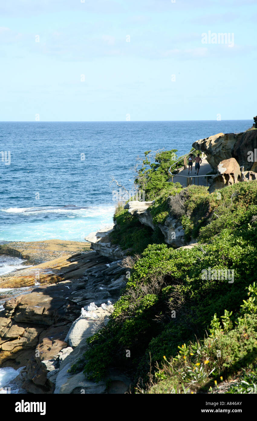 View of cliffs on Bondi to Coogee footpath, Sydney, Australia Stock ...