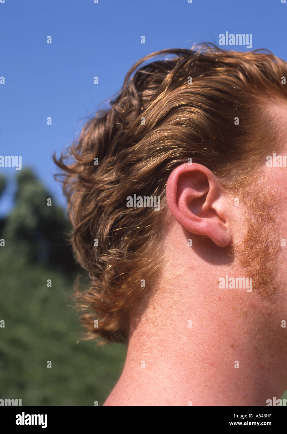 detail of man's ear and hair Stock Photo - Alamy