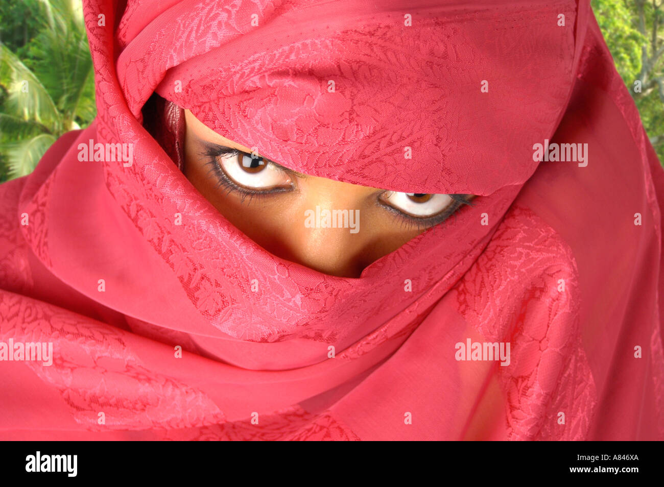 Arab woman in veil Stock Photo - Alamy