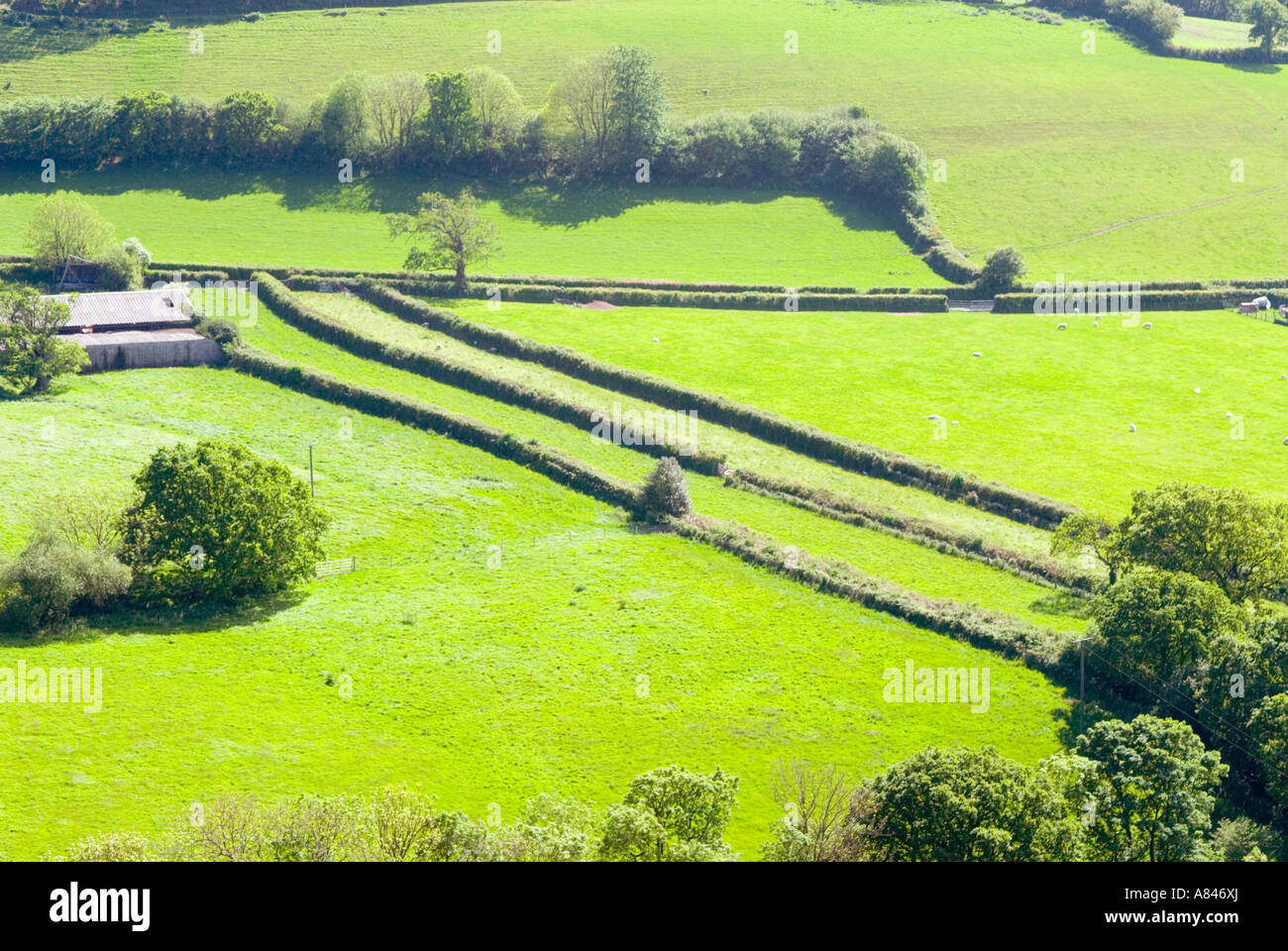 Farm leper colony hi-res stock photography and images - Alamy