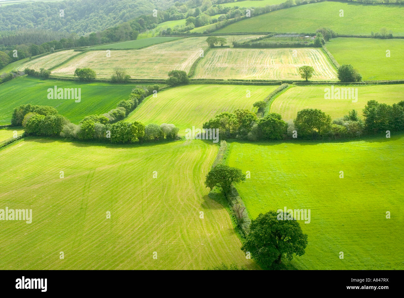 Green fields of devon hi-res stock photography and images - Alamy