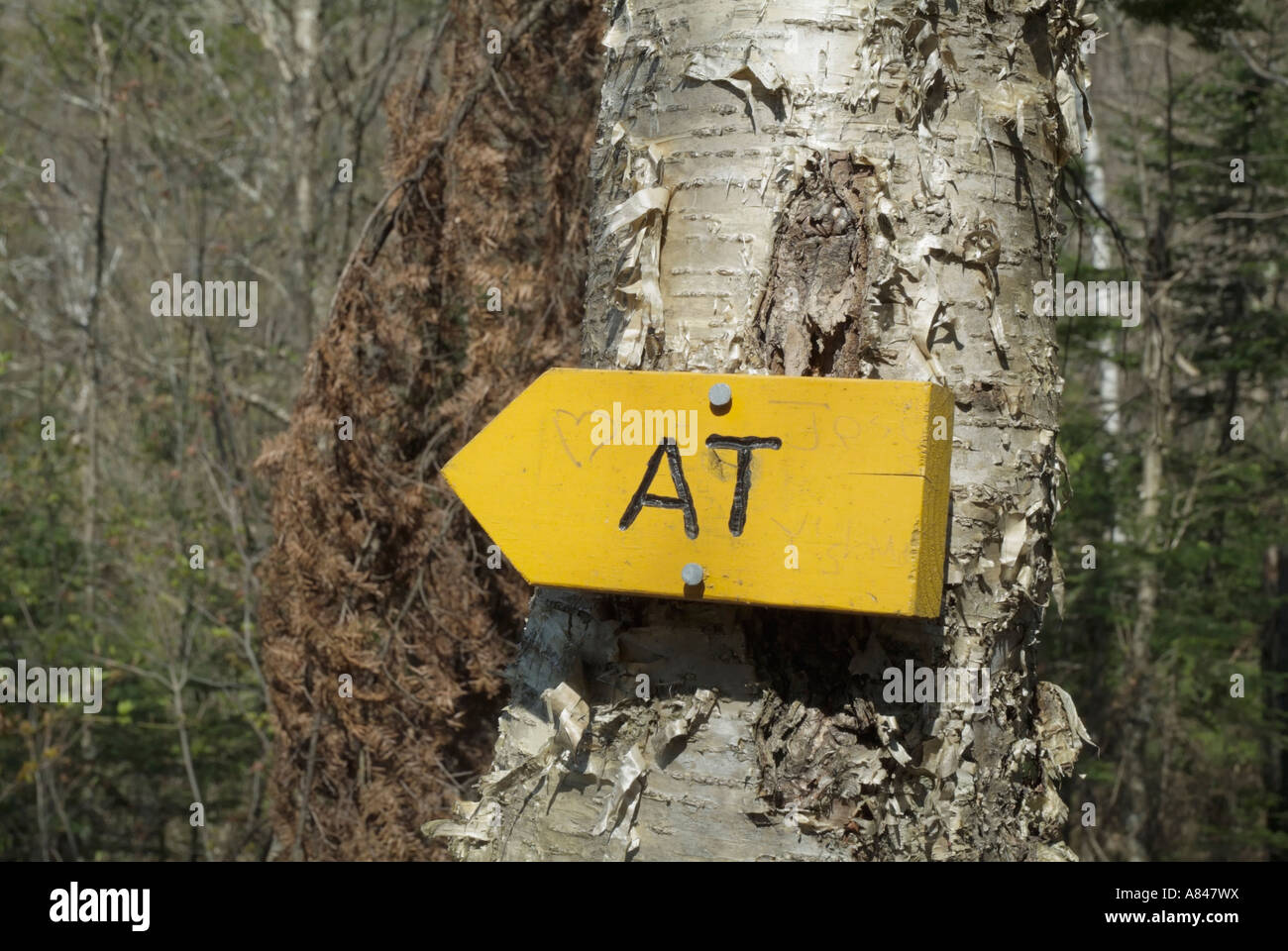 Appalachian Trail- A trail sign marks the Appalachian Trail near Mount ...