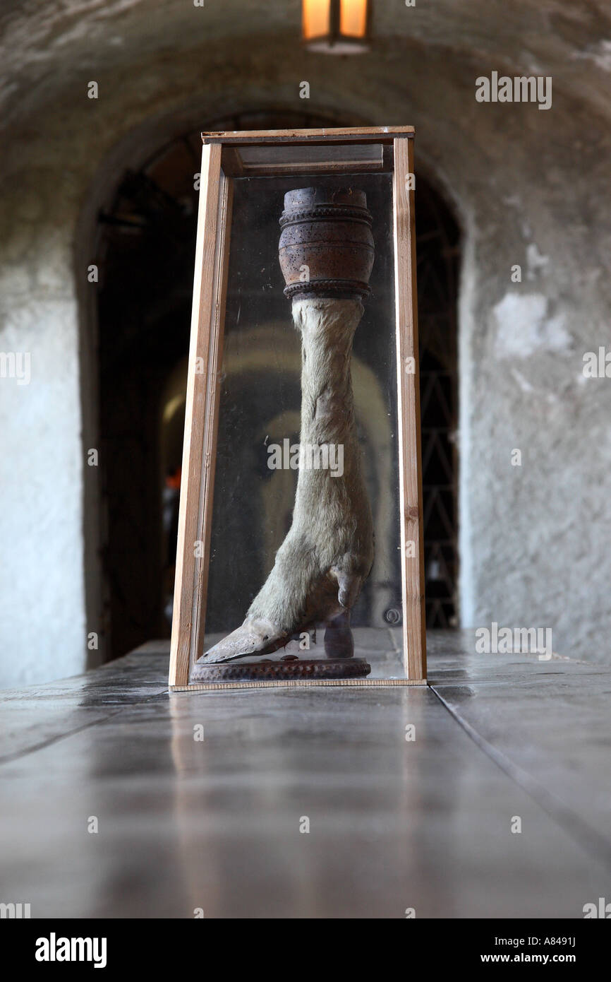 A drinking horn made from a deer leg Stock Photo - Alamy