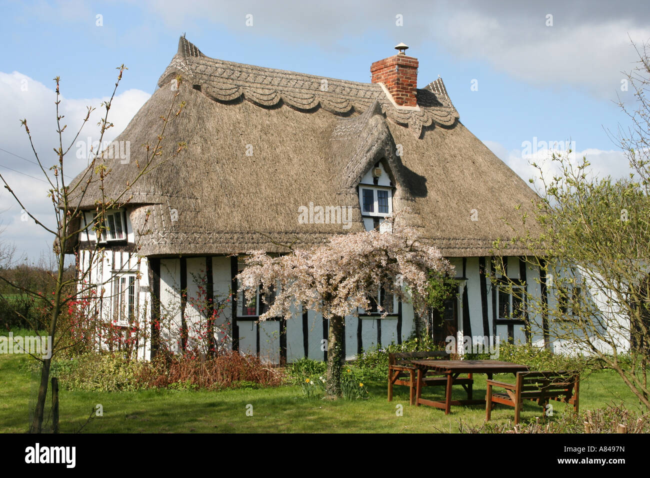 timber framed thatched roof country cottage near broxted essex england ...