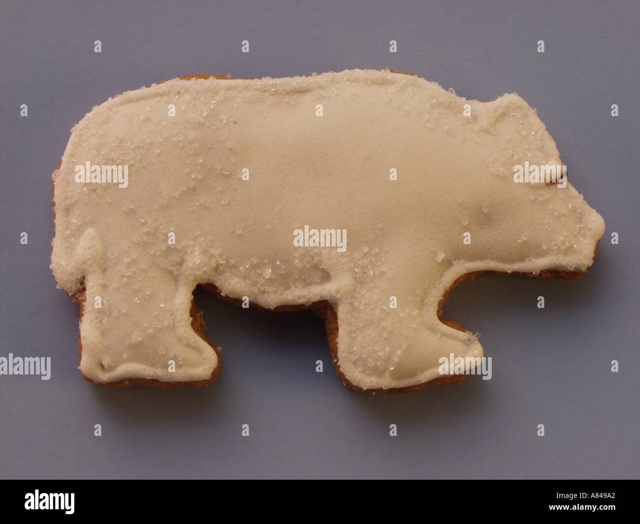 Gingerbread polar bear Stock Photo - Alamy