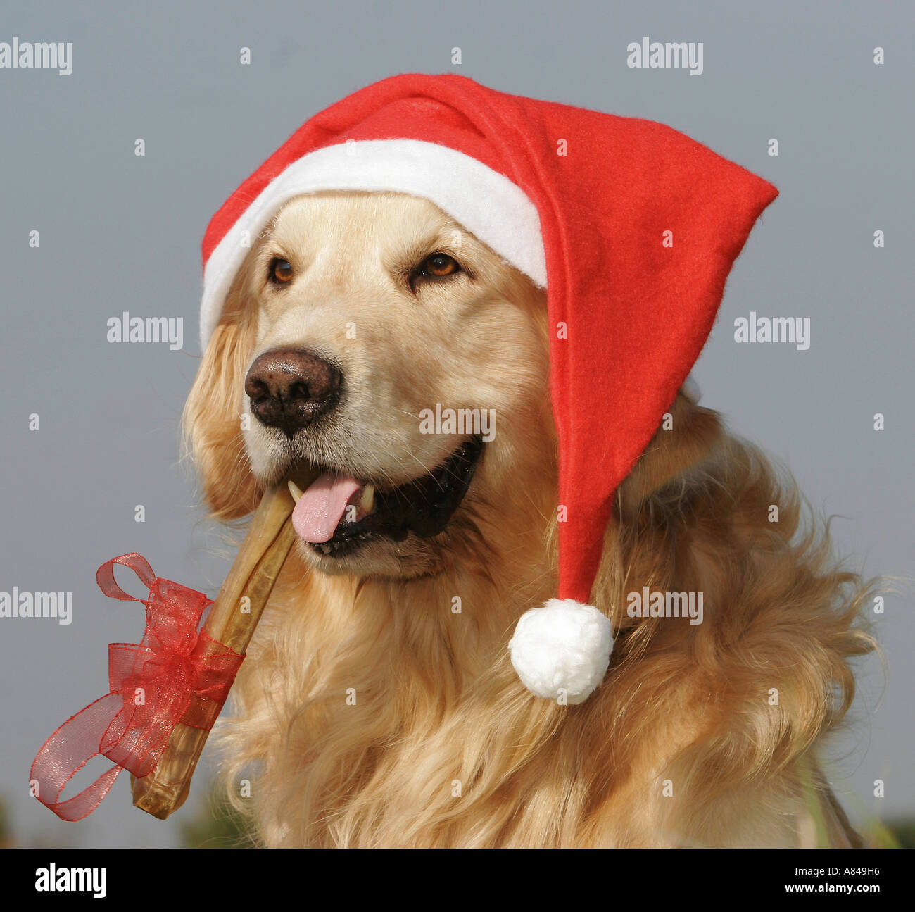 Golden santa hi-res stock photography and images - Alamy