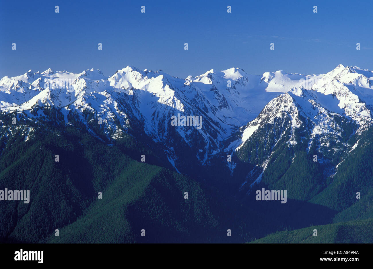 Snow capped Bailey Range Mountains from Hurricane Ridge Visitor Center ...