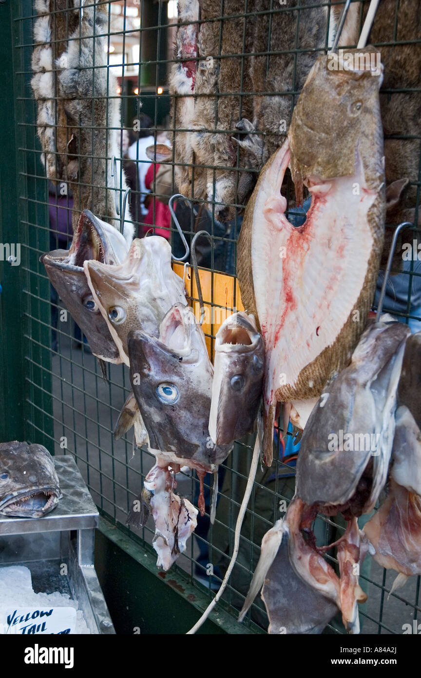 Fish heads hi-res stock photography and images - Alamy
