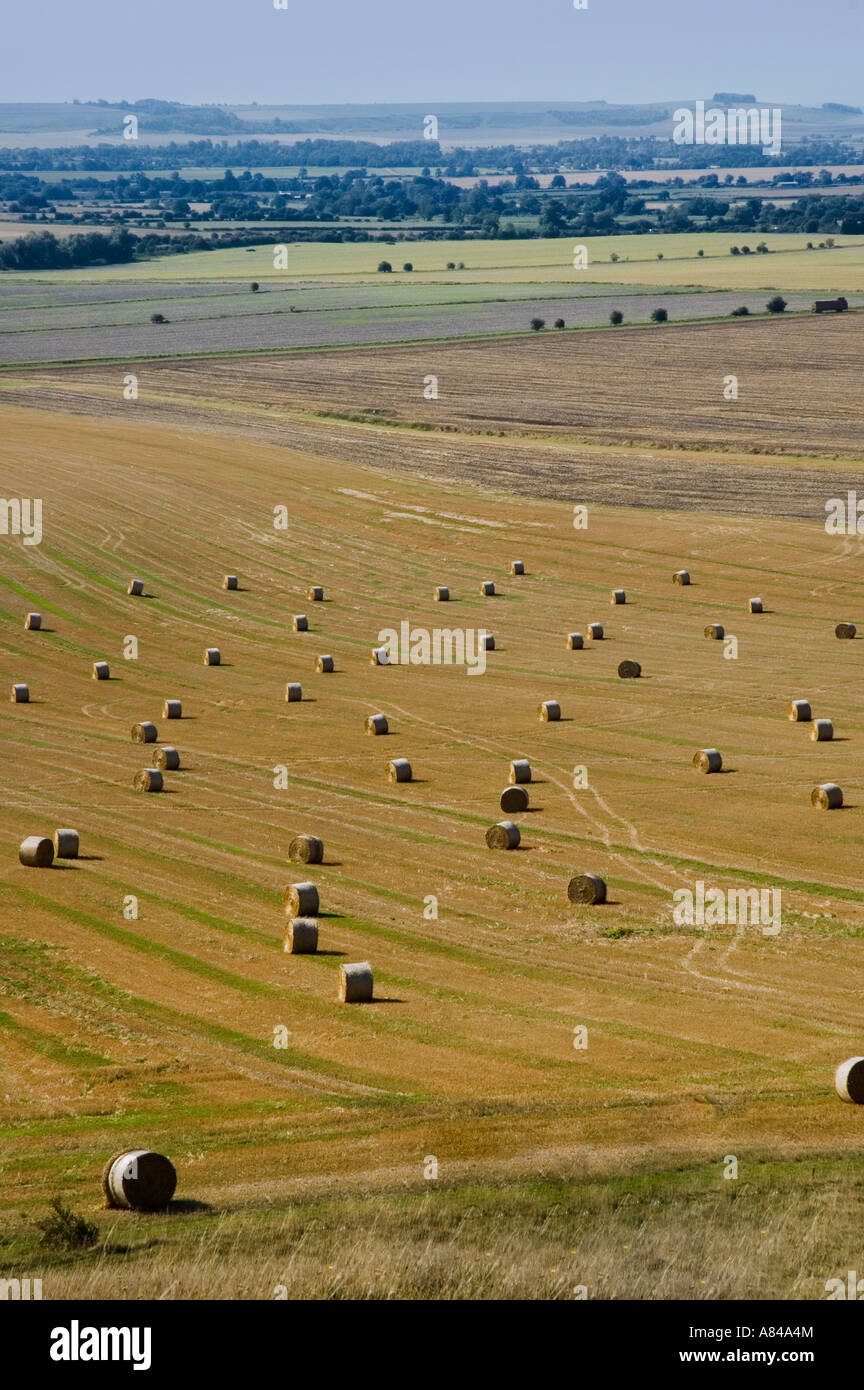 Bales of grass hi-res stock photography and images - Alamy