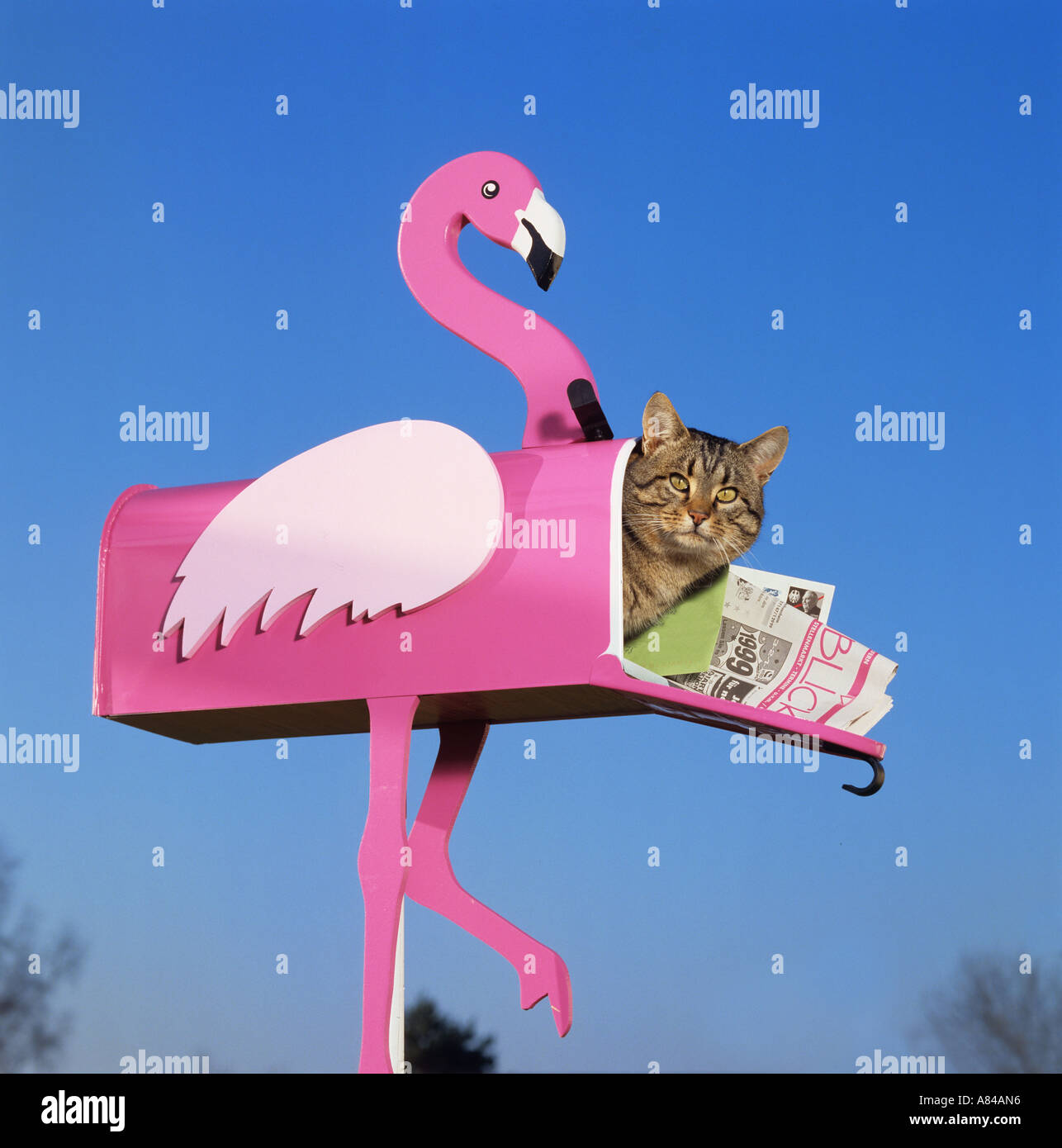 Flamingo mail box hi-res stock photography and images - Alamy