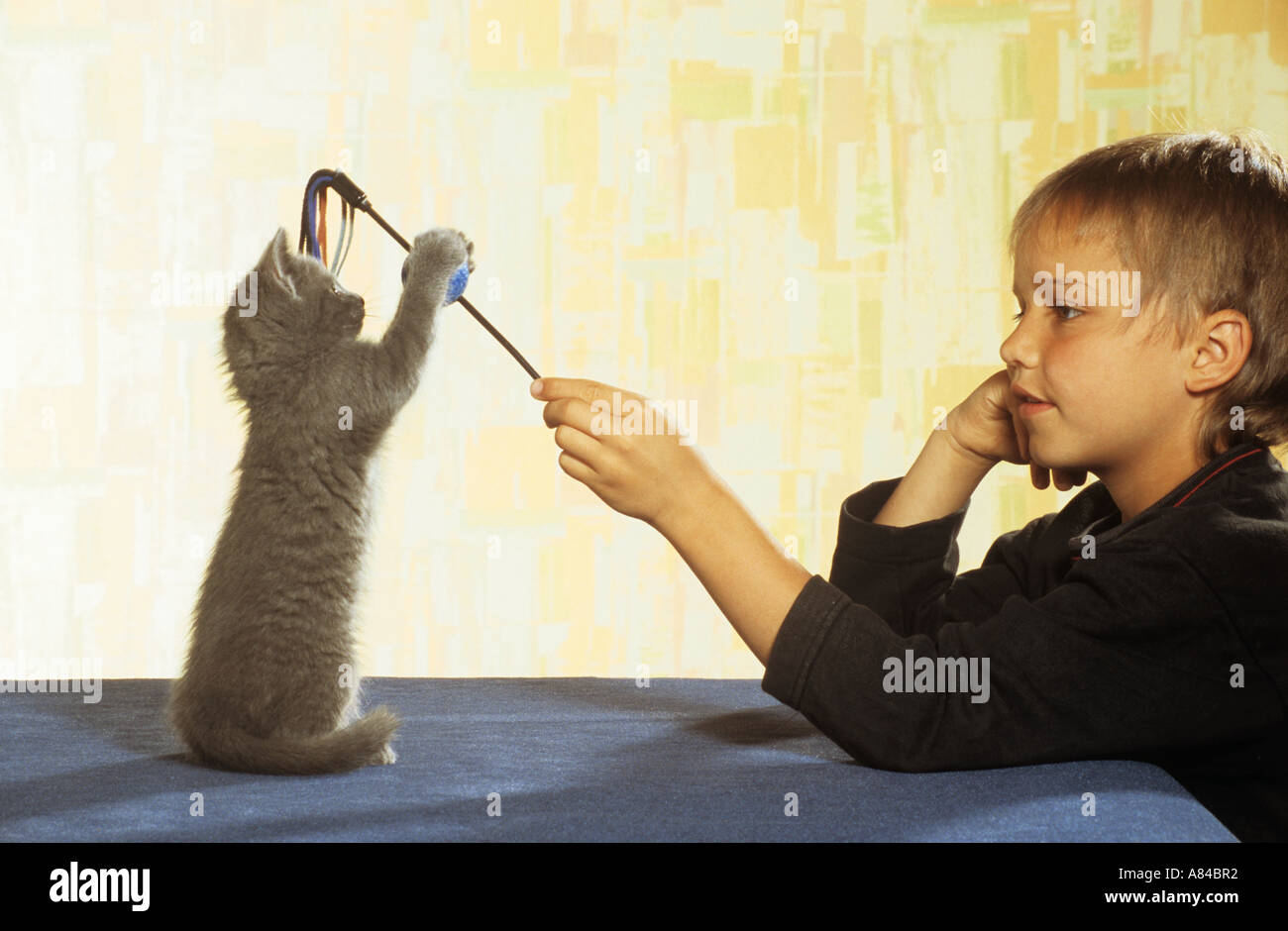 Boy playing with his cat hi-res stock photography and images - Alamy