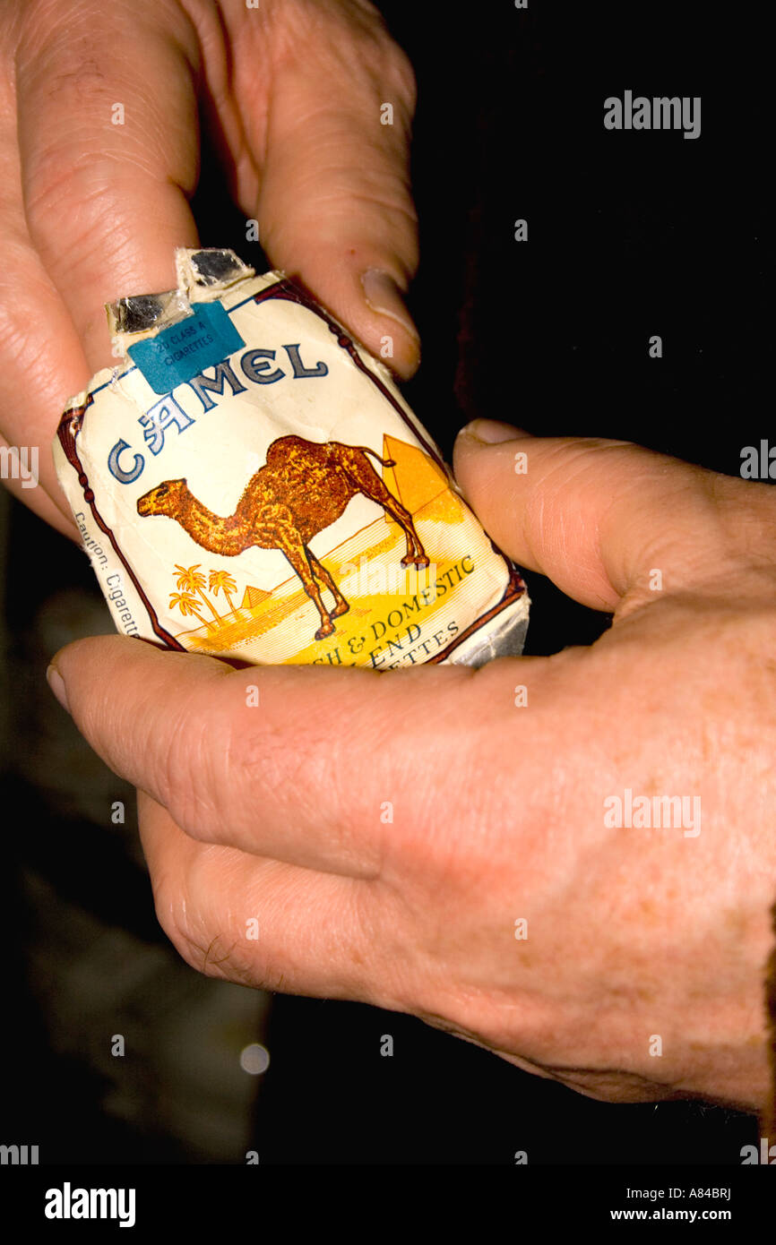 Camel package hi-res stock photography and images - Alamy