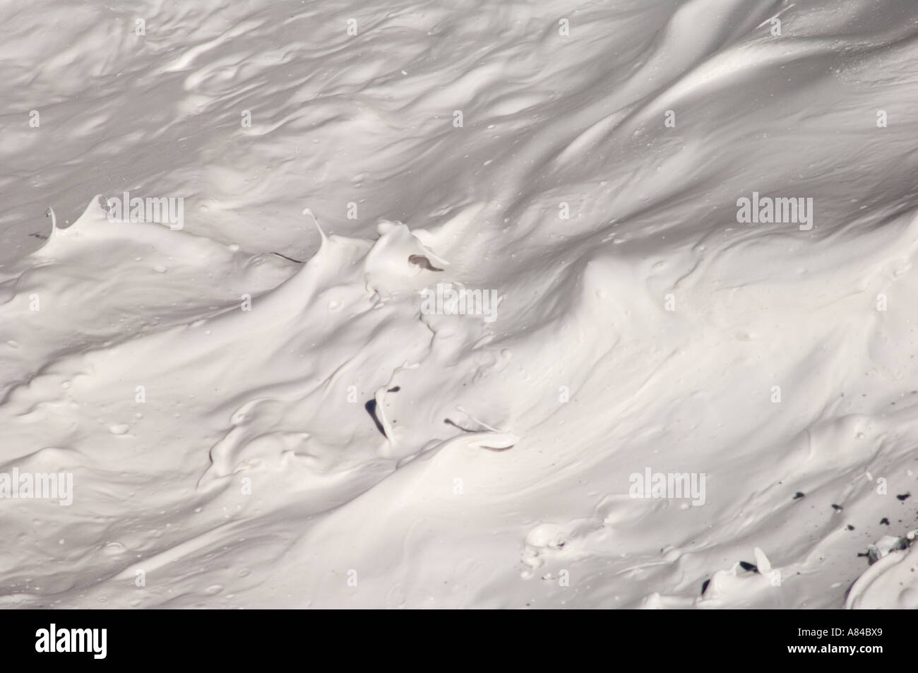 Foam from storm churned ocean at Devil s Churn Cape Perpetua on the ...