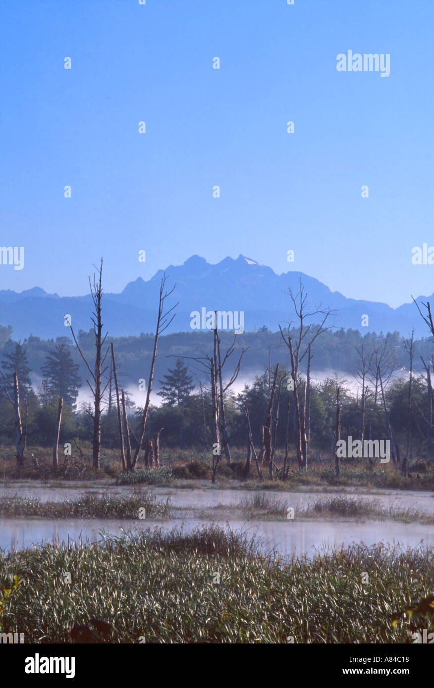 Snohomish River estuary and Cascade Mountains Everett Washington Stock ...