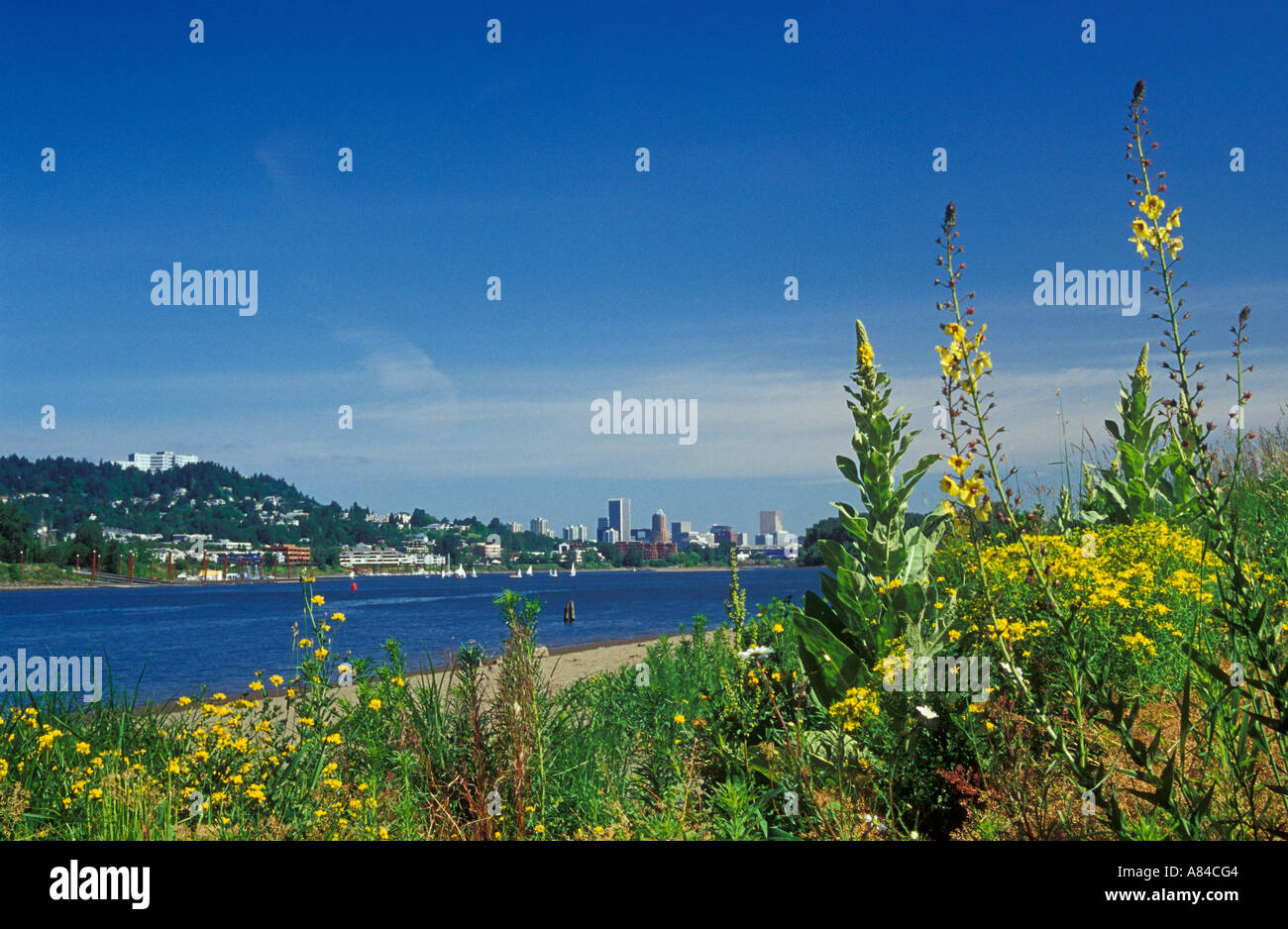 Sellwood riverfront hi-res stock photography and images - Alamy