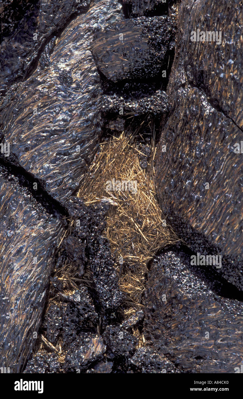 Pahoehoe lava and Pele s Hair strands of volcanic glass from Pu u O o ...