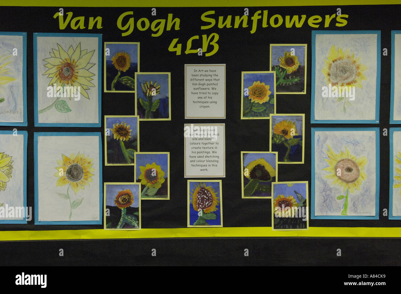 Sunflower School Display