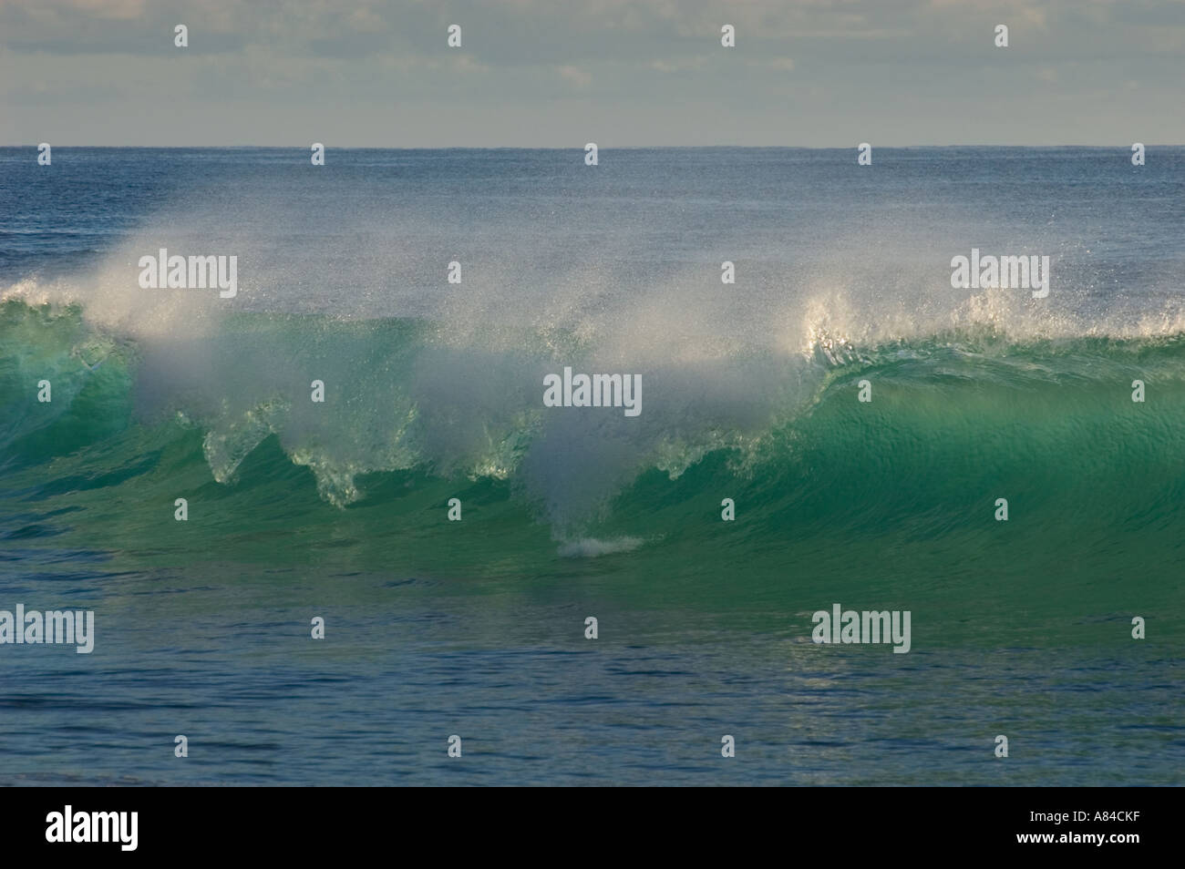 Donkey beach hi-res stock photography and images - Alamy