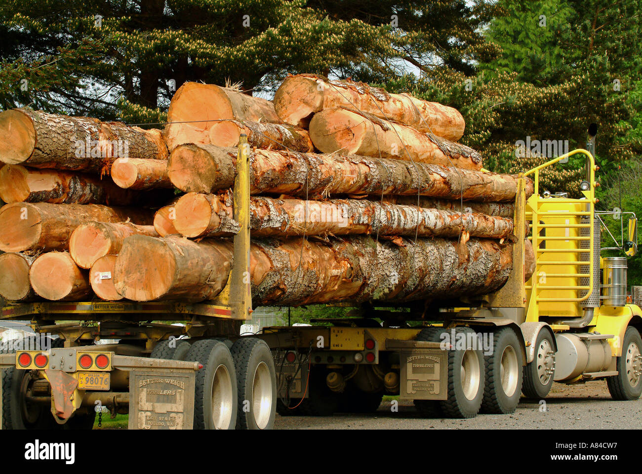 Logging Trucks In Oregon