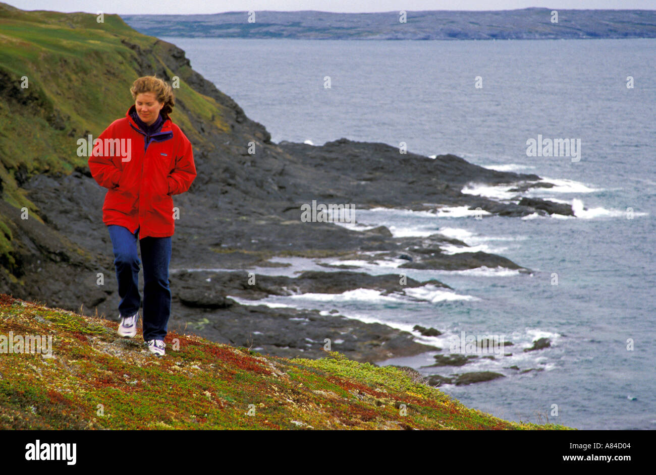 Women hiker walking newfoundland hi-res stock photography and images ...