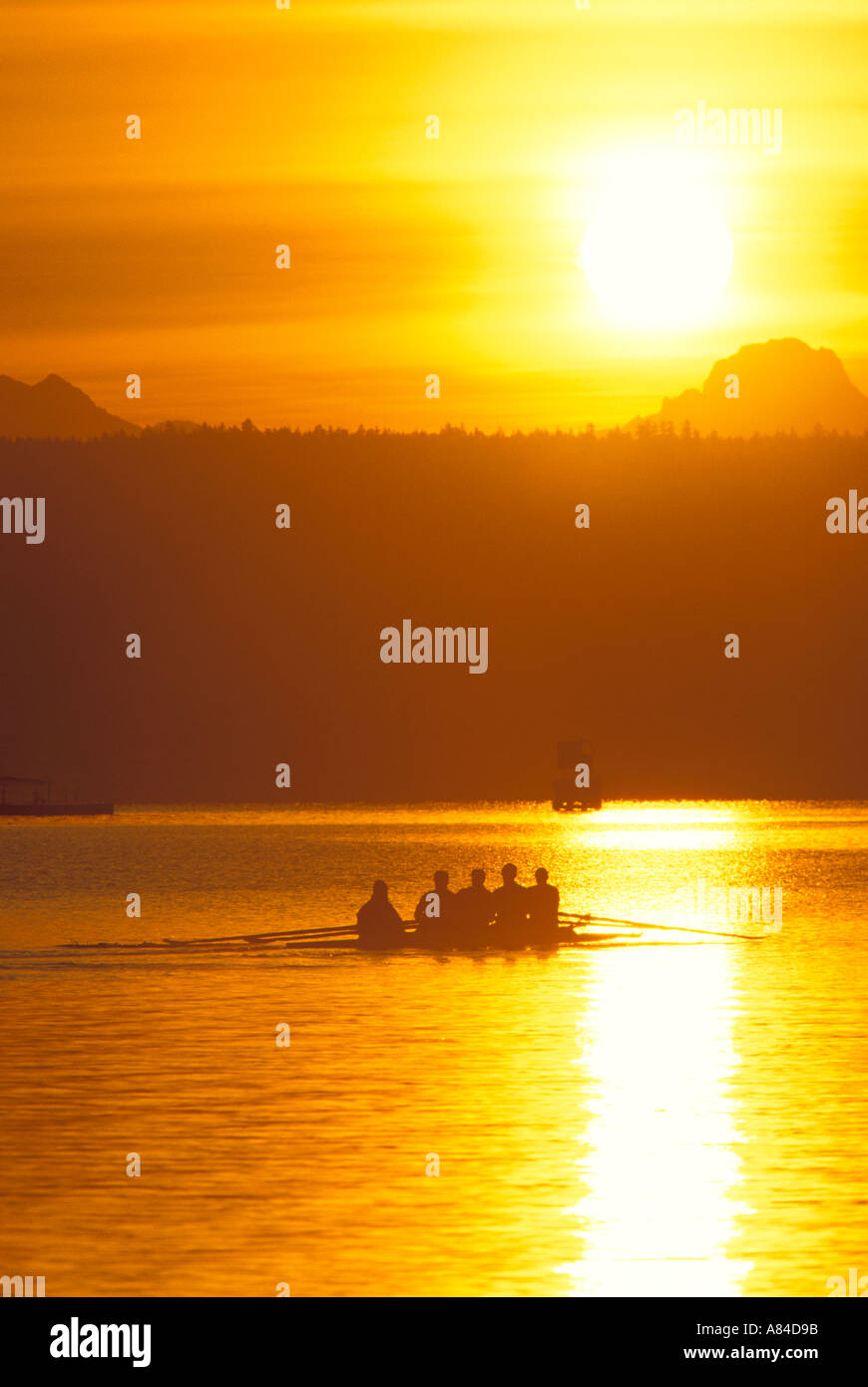 Crew rowing hi-res stock photography and images - Alamy