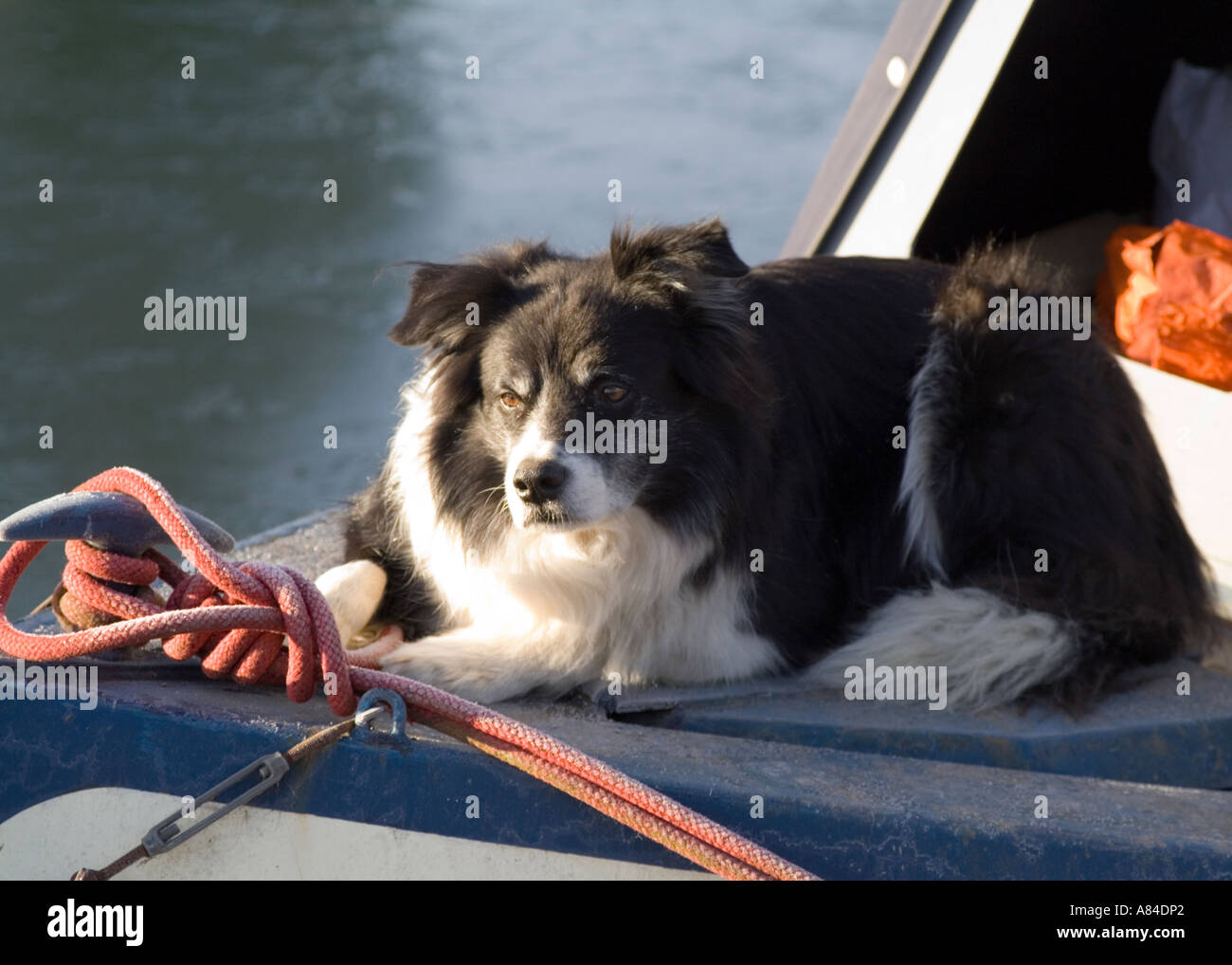Black narrowboat hi-res stock photography and images - Alamy