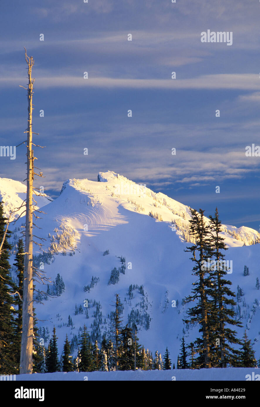Cascade mountain range tatoosh range hi-res stock photography and ...