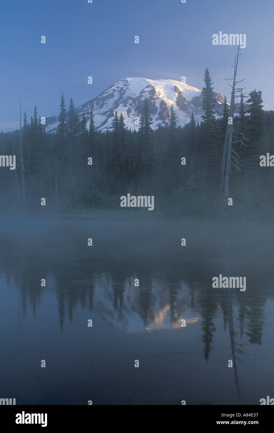 Misty view of mount rainier hi-res stock photography and images - Alamy