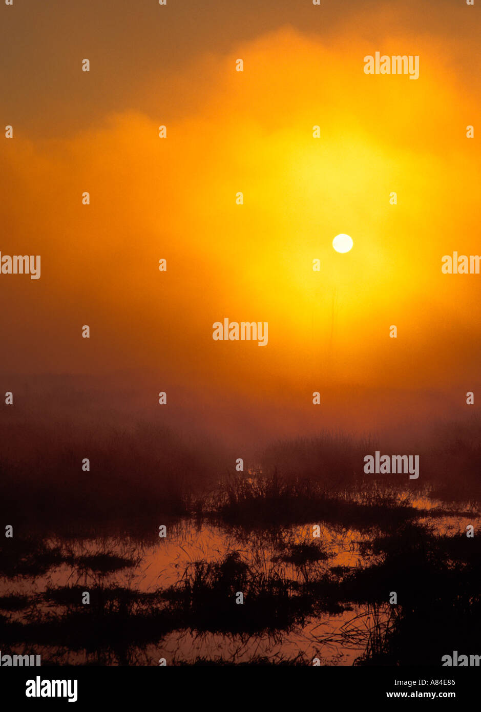 Spencer rivers hi-res stock photography and images - Alamy