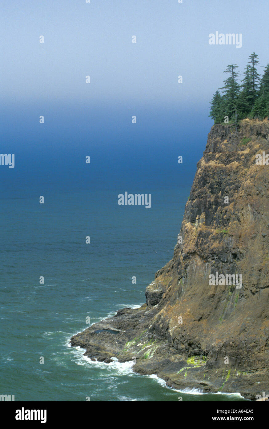 Cliff at Cape Meares State Park Oregon Stock Photo - Alamy