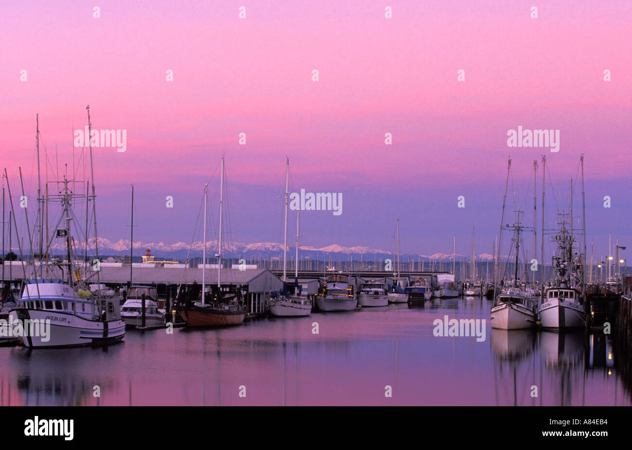 Everett Marina at sunrise with Olympic Mountains in background Everett ...