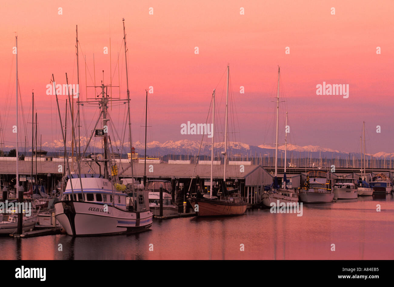 Everett Marina at sunrise with Olympic Mountains in background Everett ...